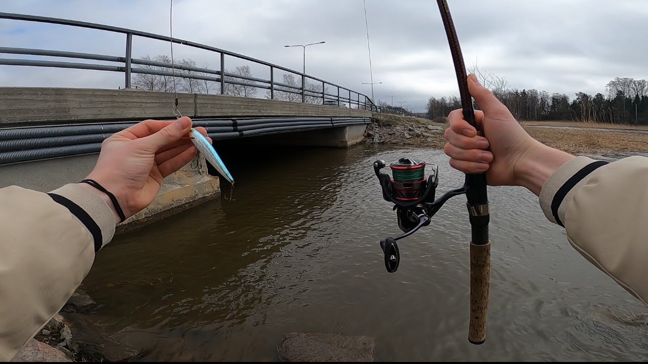 SEWER Fishing For Perch - YouTube