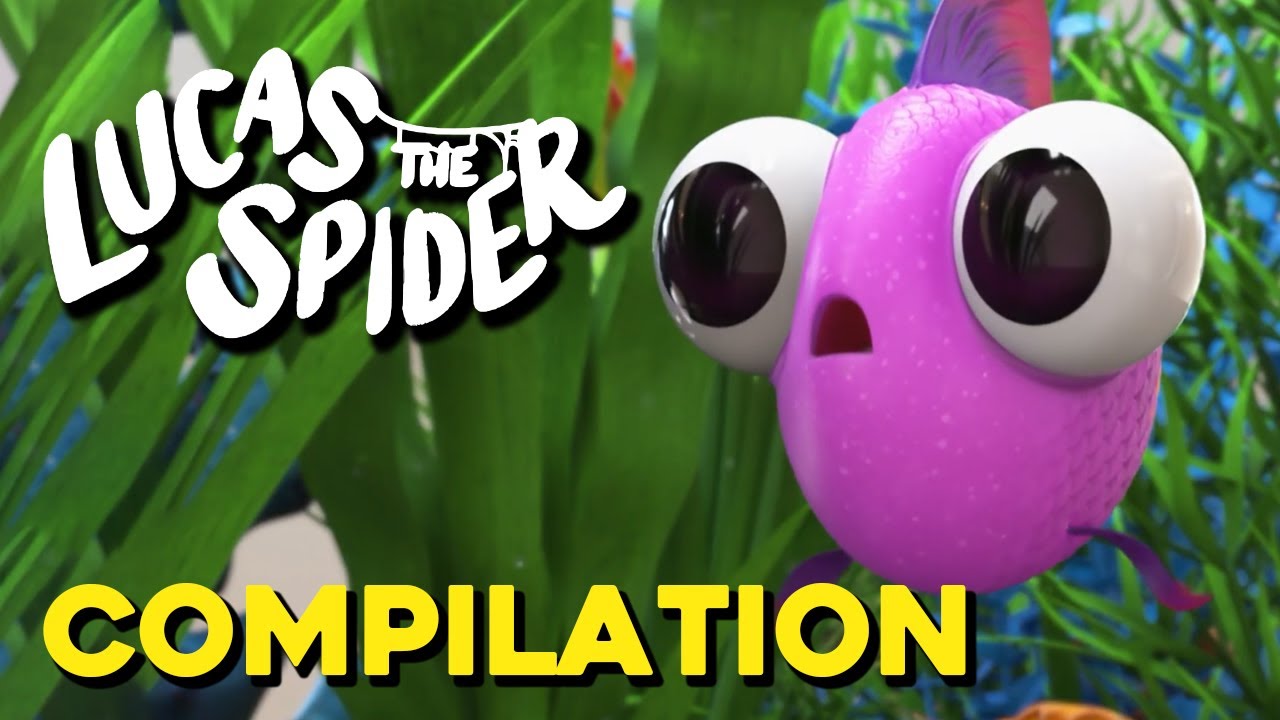 The Very BEST Dimples Moments | Lucas The Spider | Compilation - YouTube