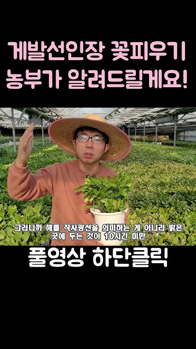 게발선인장 꽃피우는법 알려드림 Youtube