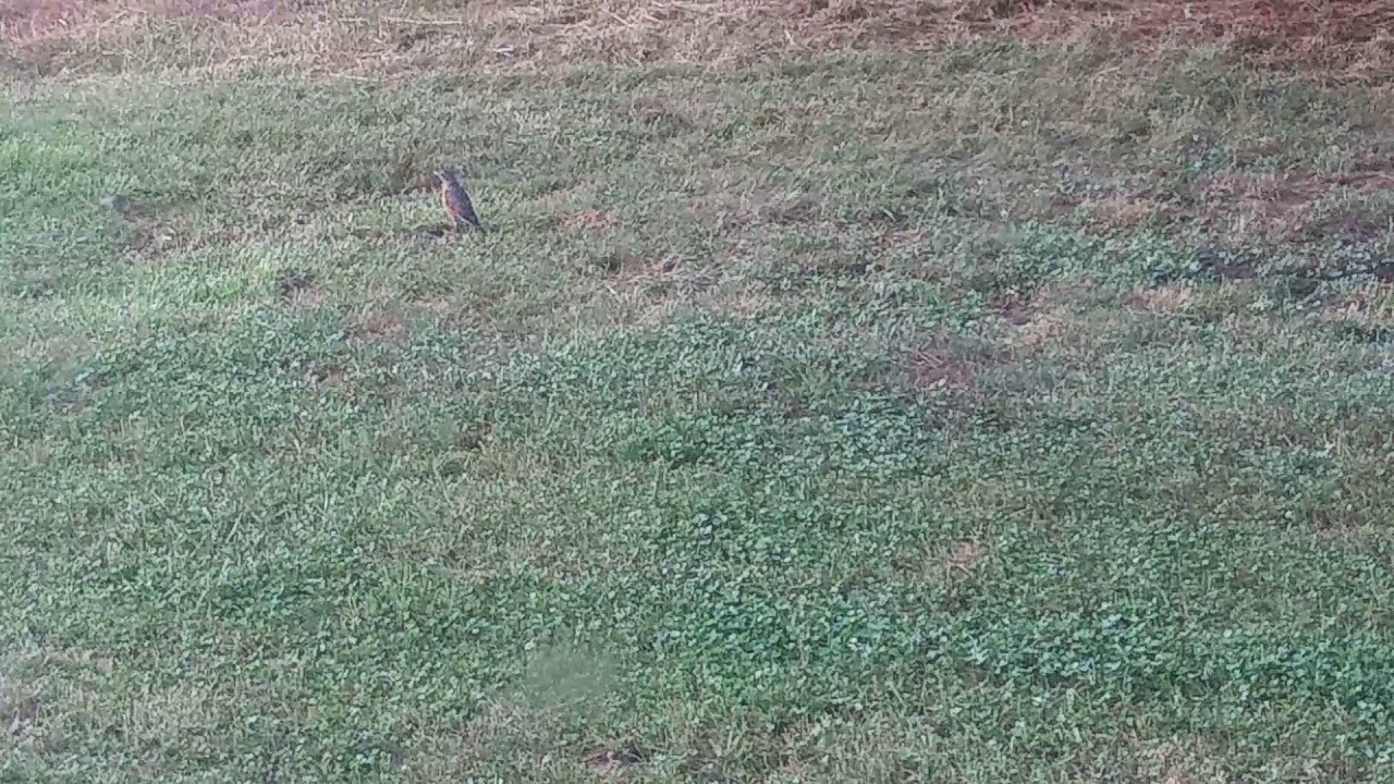 Jesus Christ's Blood has only 23 chromosomes and His Father was not ...