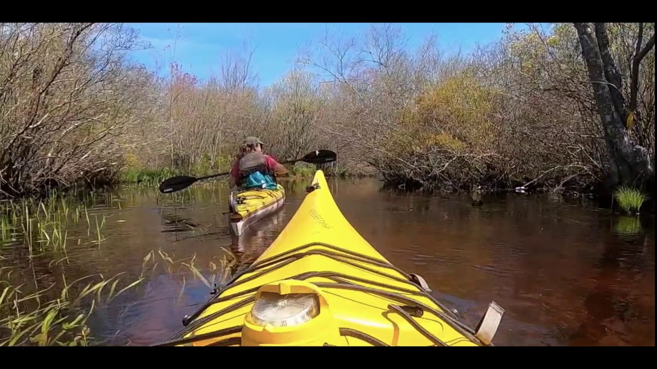 Kayaking in the Peconic River - YouTube