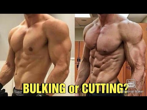 Complete Guide for Cutting & Bulking | The right way | Avoid the big ...