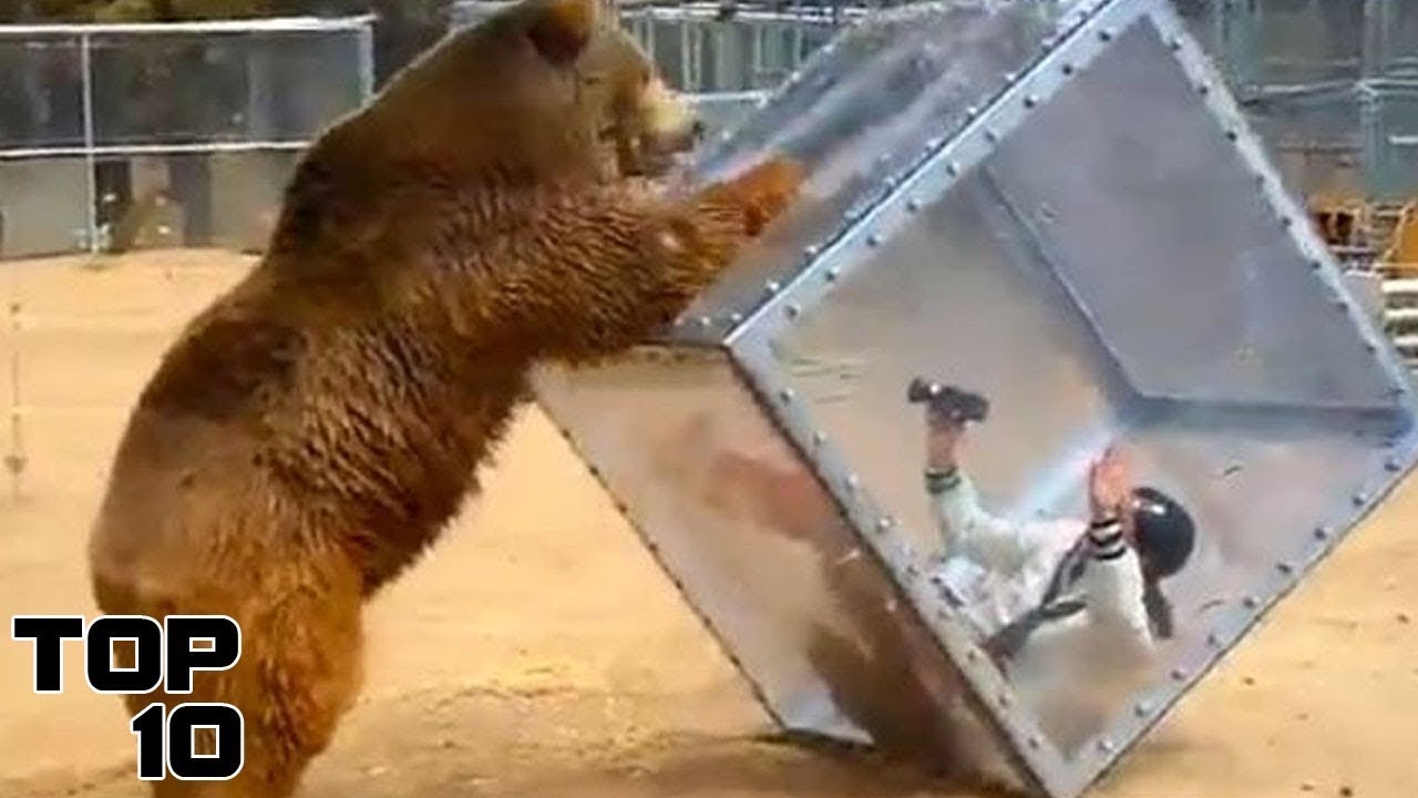 top 10 Scariest Attractions in the World - YouTube