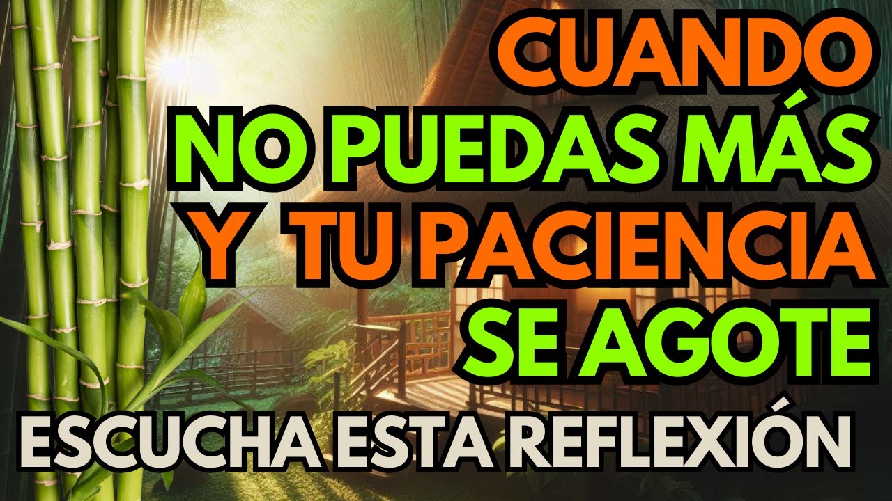 La Hermosa REFLEXIÓN del Bambú JAPONÉS - YouTube