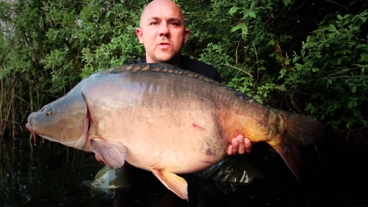 Fishing for Big Dutch Carp with Ed Skillz and Leon Bartropp - The ...