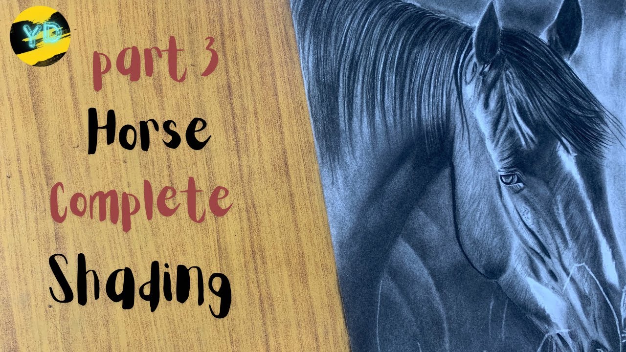 Part 3 horse complete shading tutorial ||horse smooth tutorial | how to ...