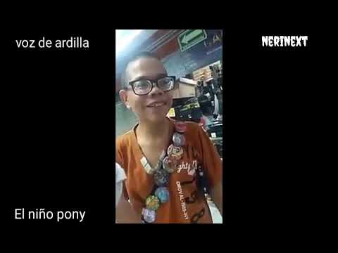 El niño pony el video viral (voz de ardilla) - YouTube