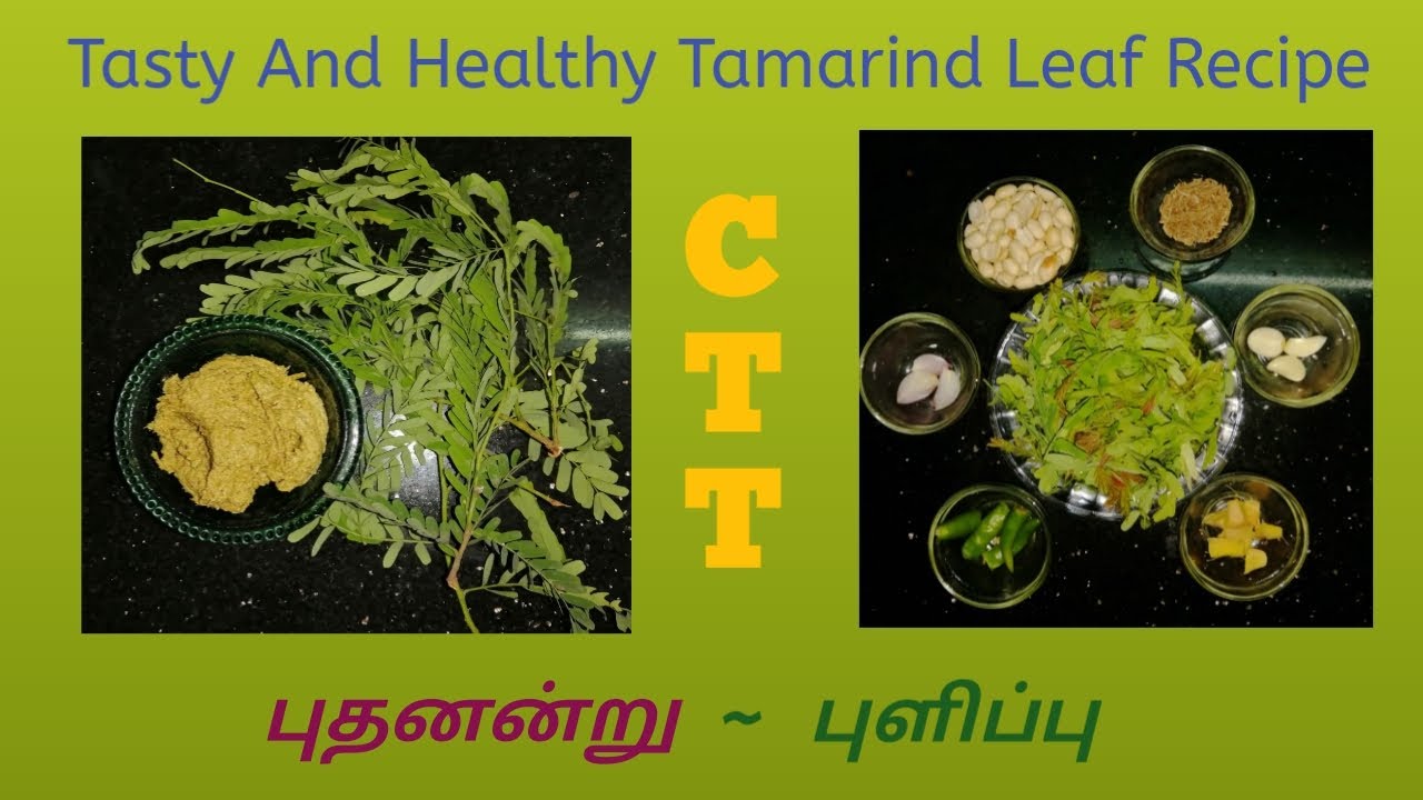 புளி இலை துவையல்|Tamarind leaf Thuvayal|Sour Taste Recipe|Healthy Puli ...