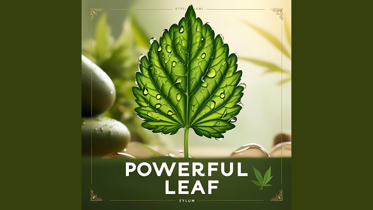 Powerful Leaf - YouTube