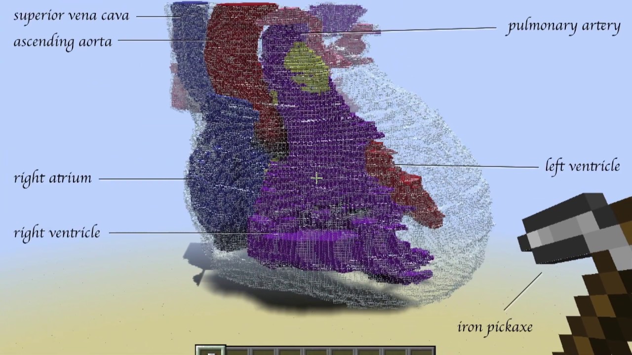 Anatomy Class in Minecraft - Concepts - YouTube