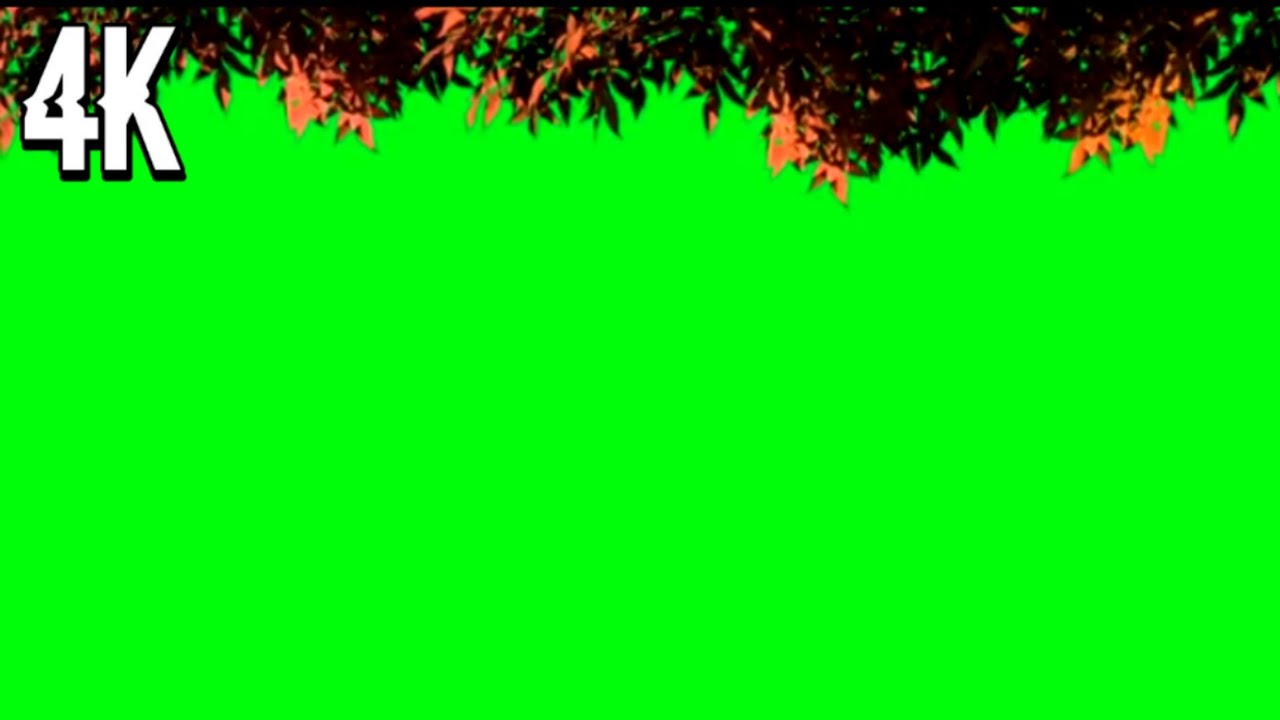 Tree Green Screen Effect Background Video. no copyright claim video ...