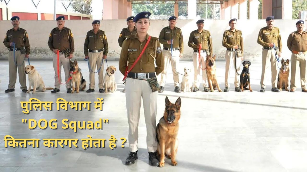How far police tracking dog is effective ? | पुलिस का Dog Squad कितना ...