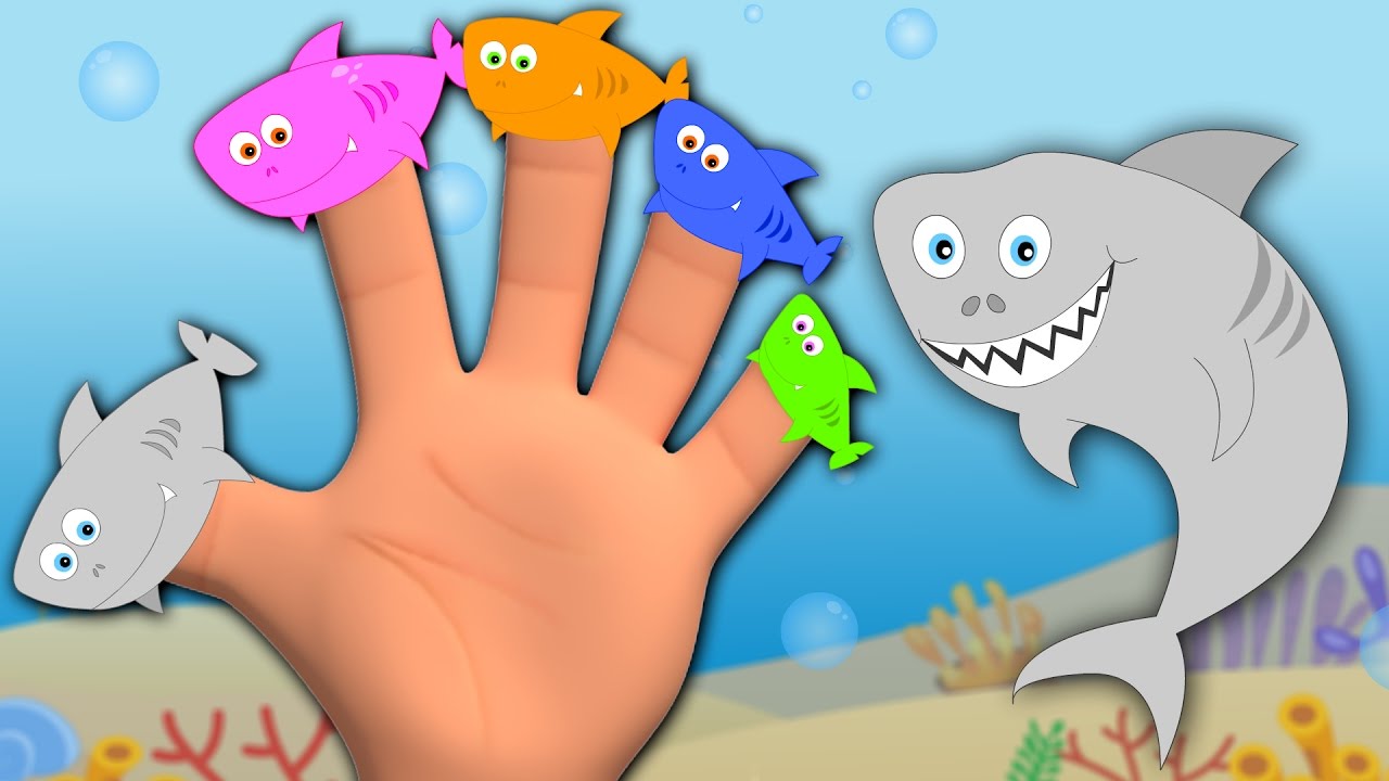 shark finger family | nursery rhymes | kids songs | baby videos - YouTube