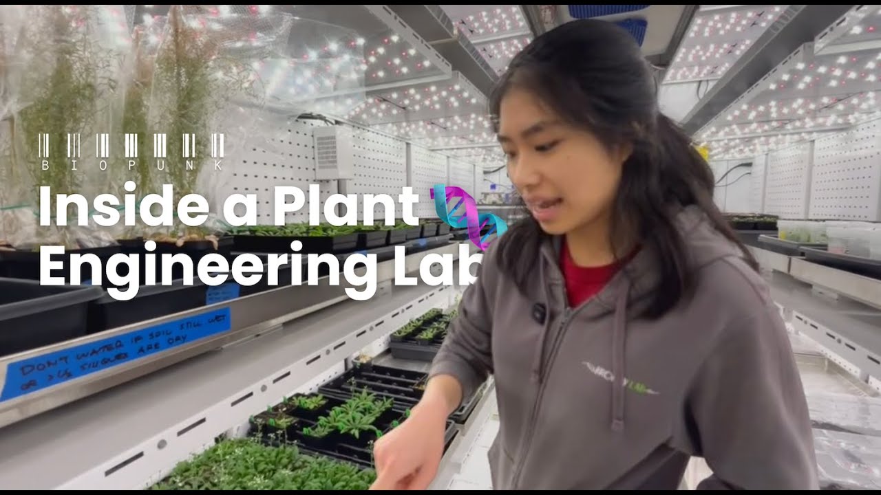 Inside a PLANT ENGINEERING lab in STANFORD - YouTube