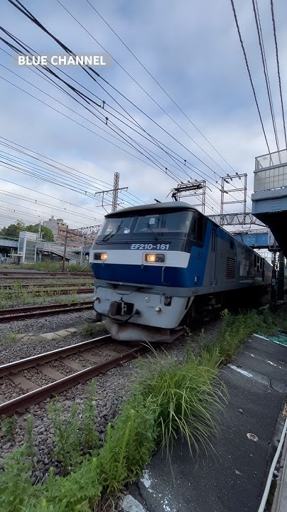 (貨物列車) 2024/09/20 2059レ EF210-161 + コキ20B カンガルーライナーSS60 (陸前山王〜吹田タ) #Shorts - YouTube