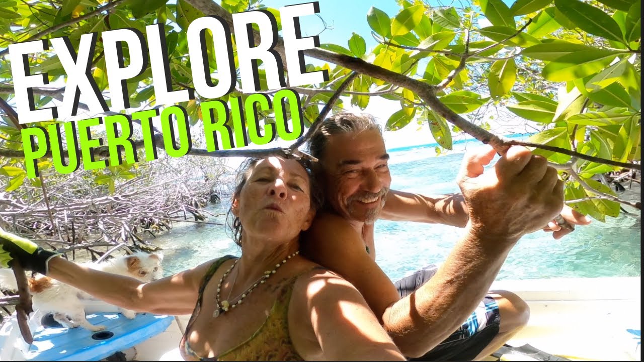 Explore Puerto Rico! The best American reef diving all around the coast ...