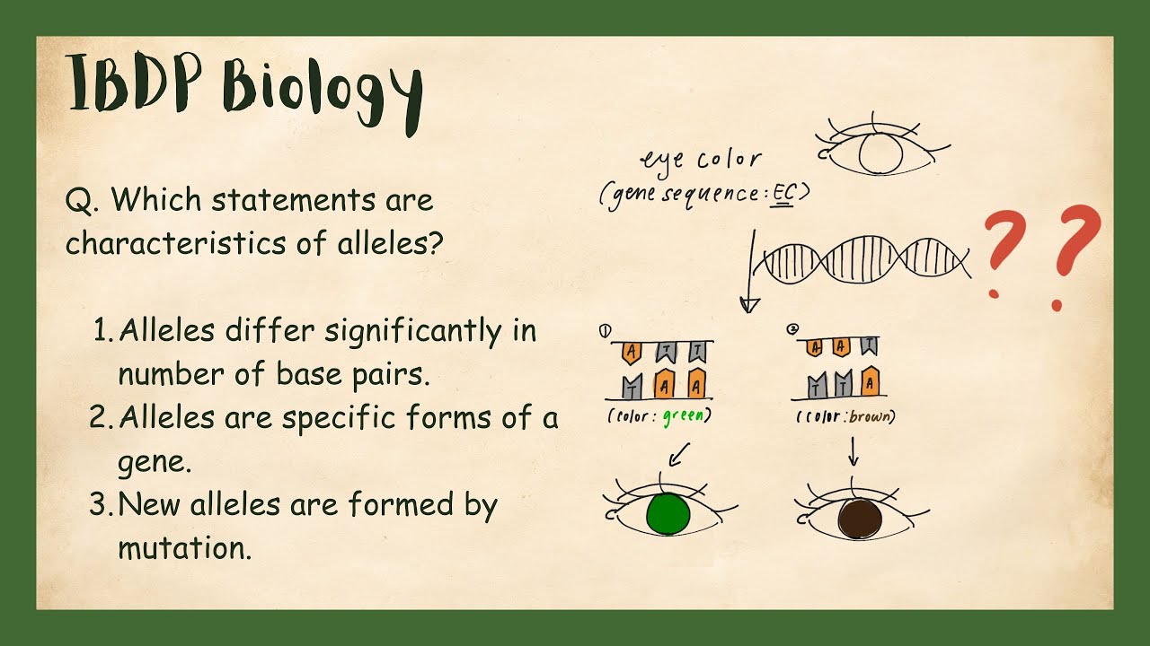 IBDP Biology 解題時間 - ep3 - YouTube