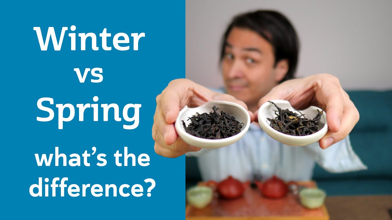 WINTER vs SPRING TEA - Taste testing snowflake Oolong - YouTube