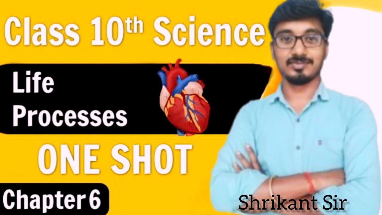 One Shot Life Process Science Class 10th l Ncert Explanation ll - YouTube