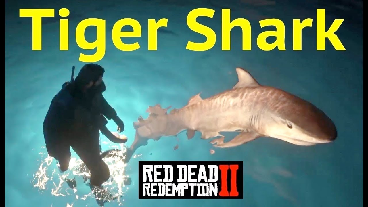 Tiger Shark Location in Red Dead Redemption 2 (RDR2): Guarma Peaks and ...
