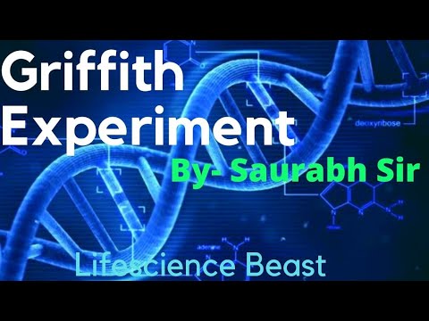 Griffith's Transformation experiment DNA is genetic material - YouTube