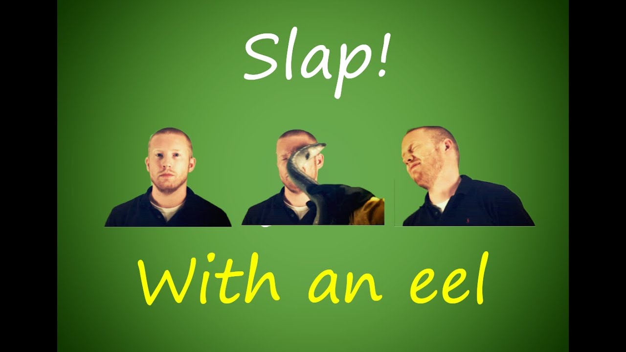 Weird Websites on Internet | eel slap | Part 01 #funny #viral # ...