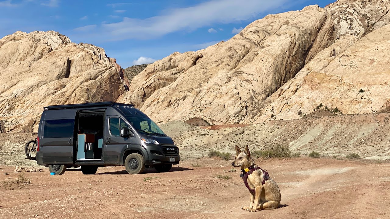 Level Up Vanlife For Your Dog With This Van Accessory - Ram Promaster ...