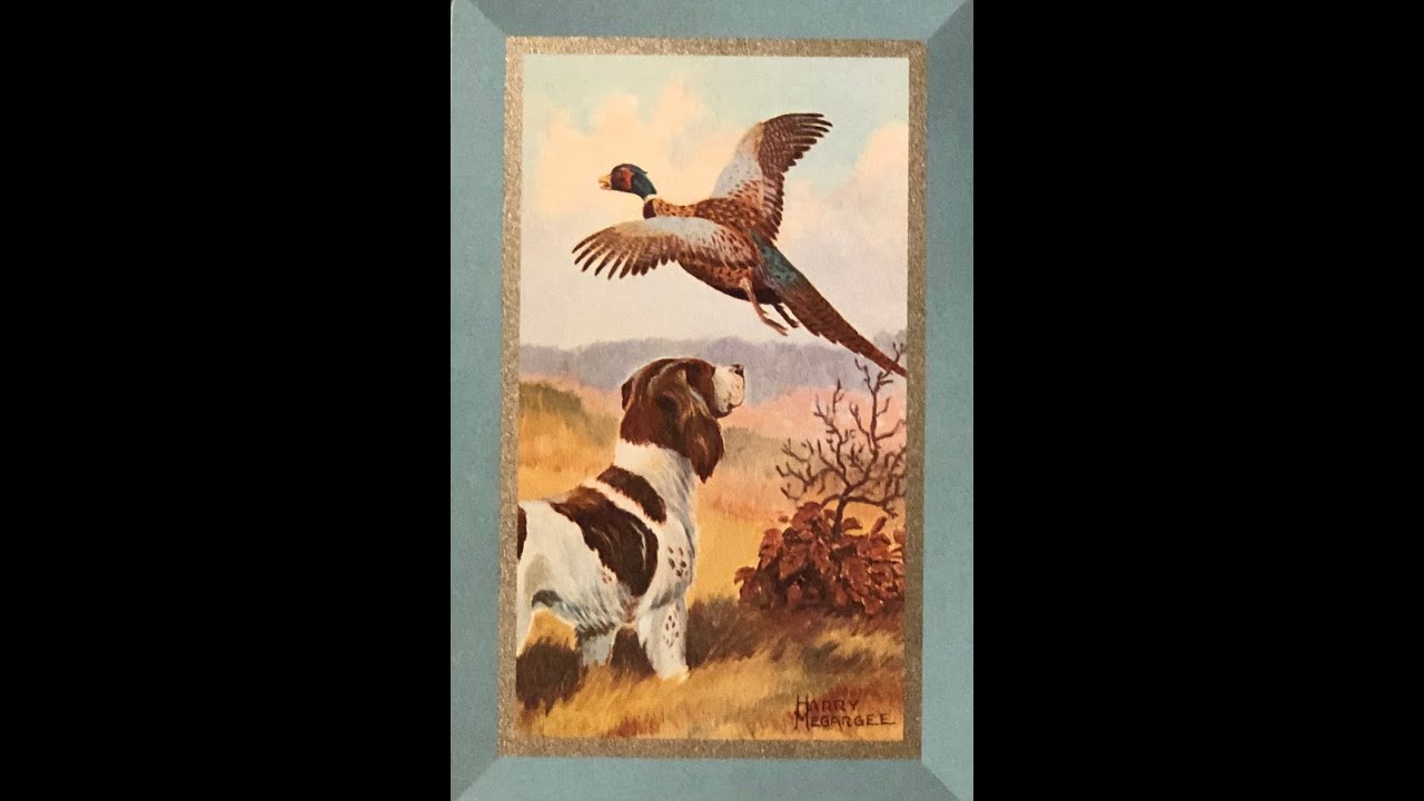 Bird Dog the Card Game - YouTube