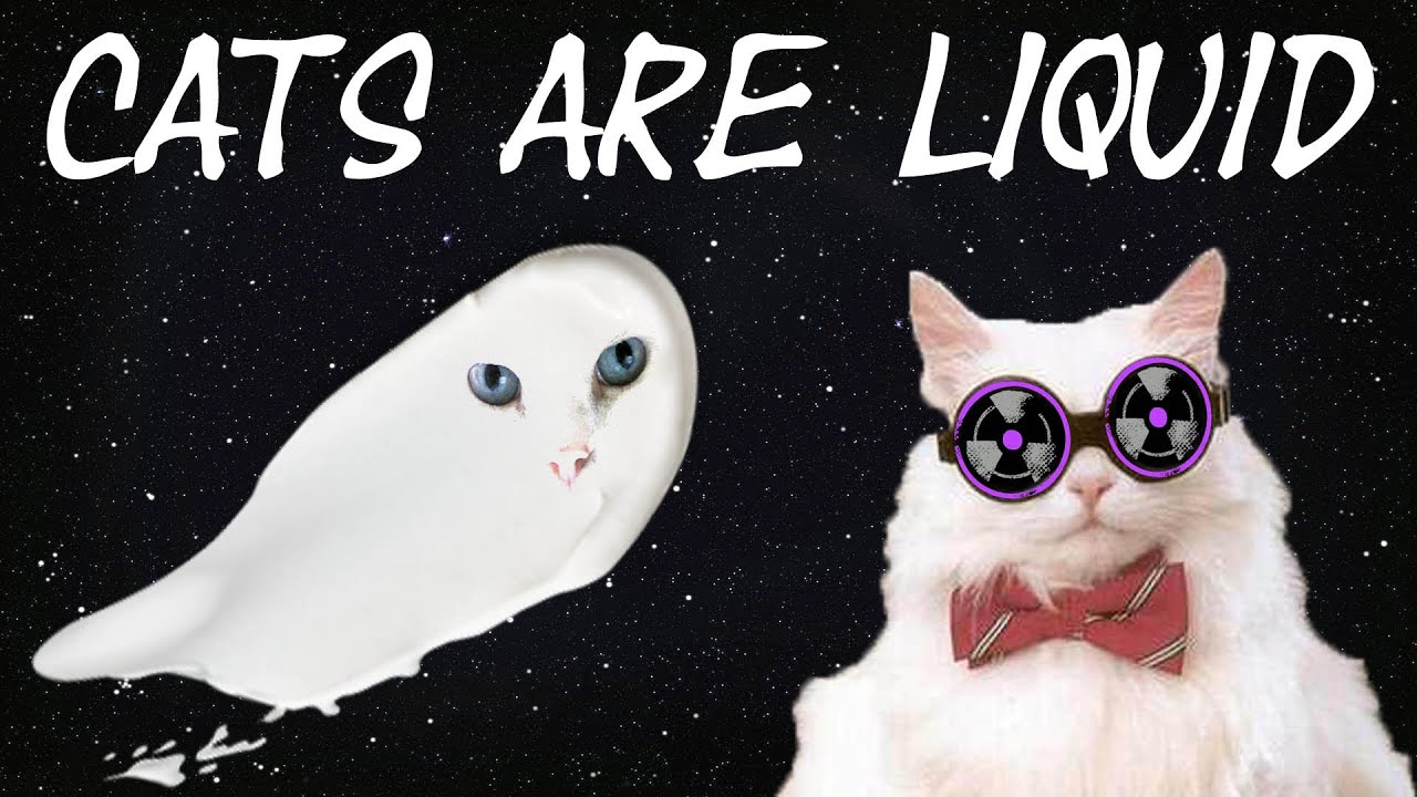 Cat science | CATS ARE LIQUID - YouTube