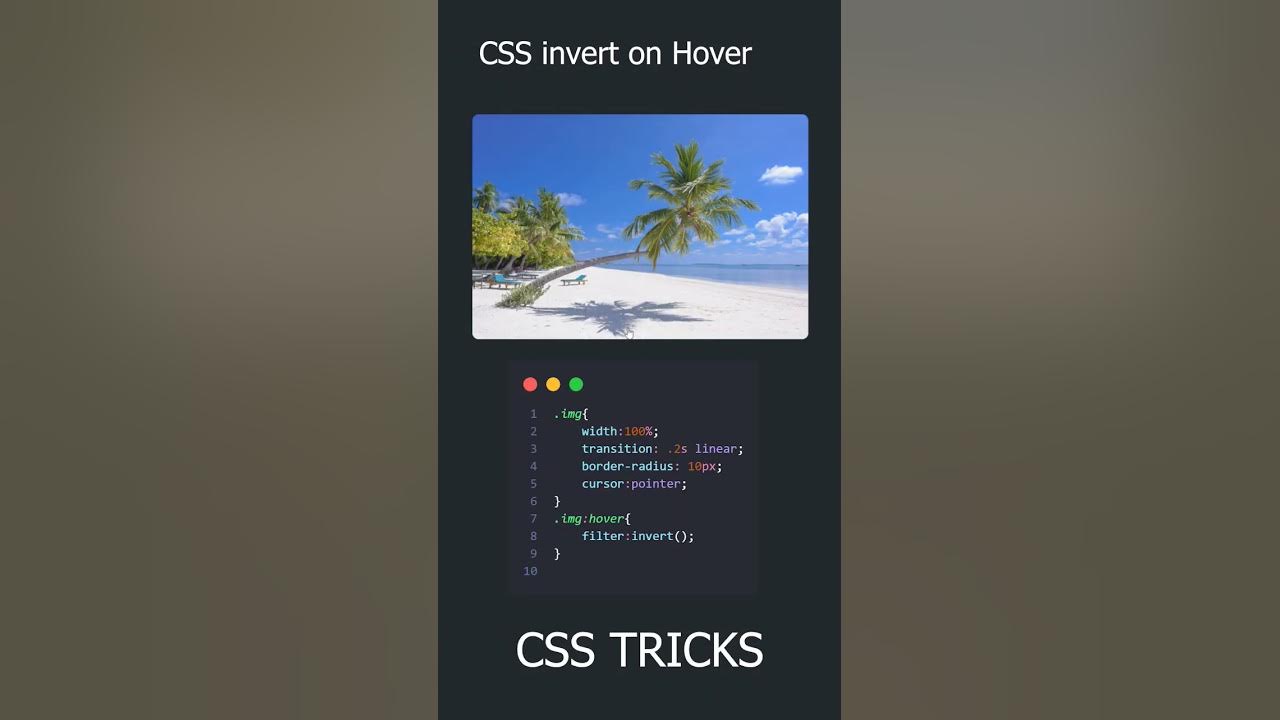 Css Trick Invert Filter On Hover Css Shorts Learncss Cssforbeginners Youtube 