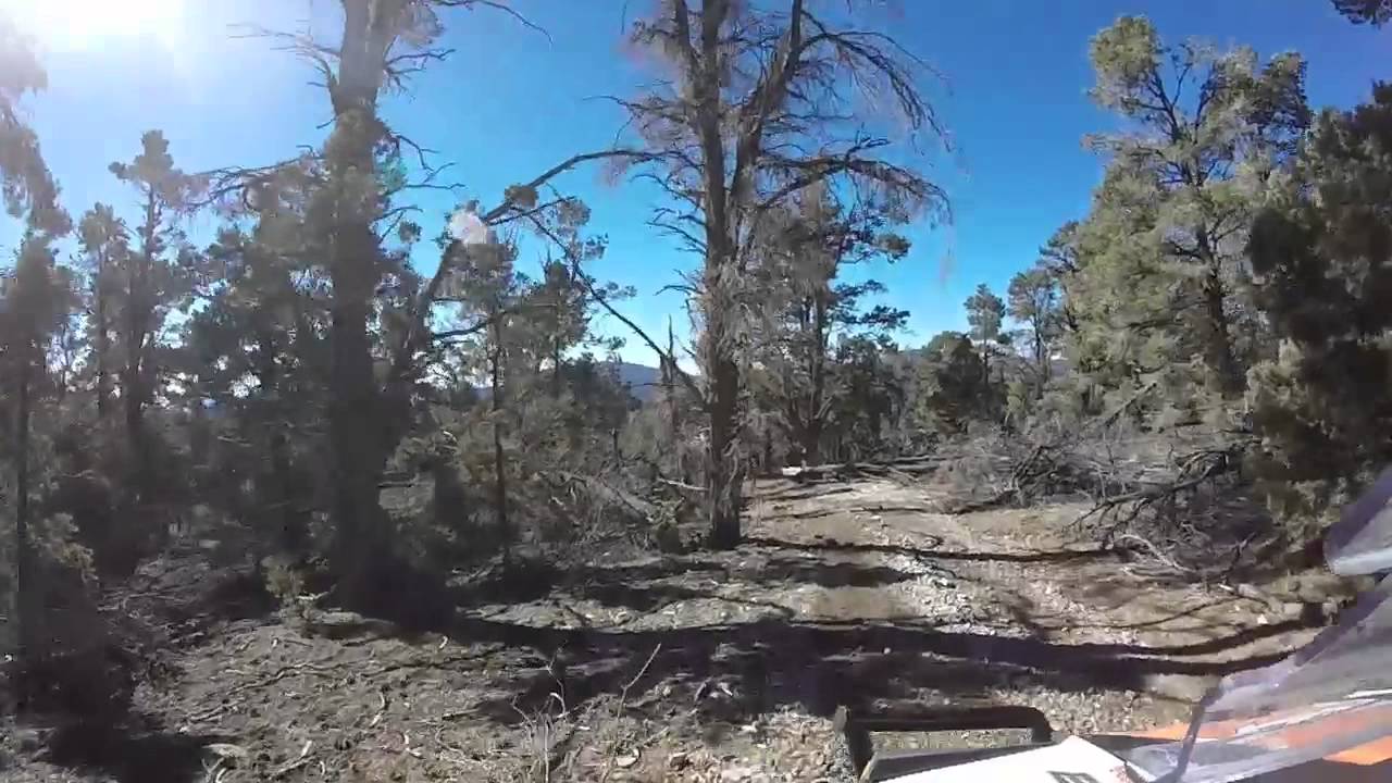Cold Creek, Nevada Wheeler Pass Full Video on RZR - YouTube