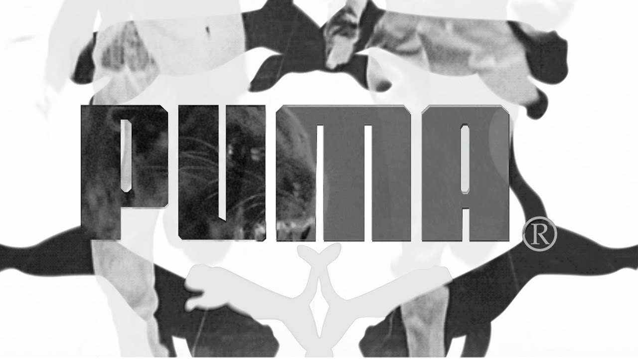 PUMA logo Animation - YouTube
