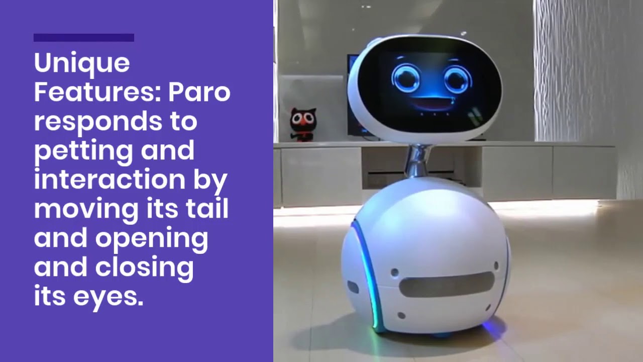 THE BEST SOCIAL NON HUMANOID ROBOTS - YouTube