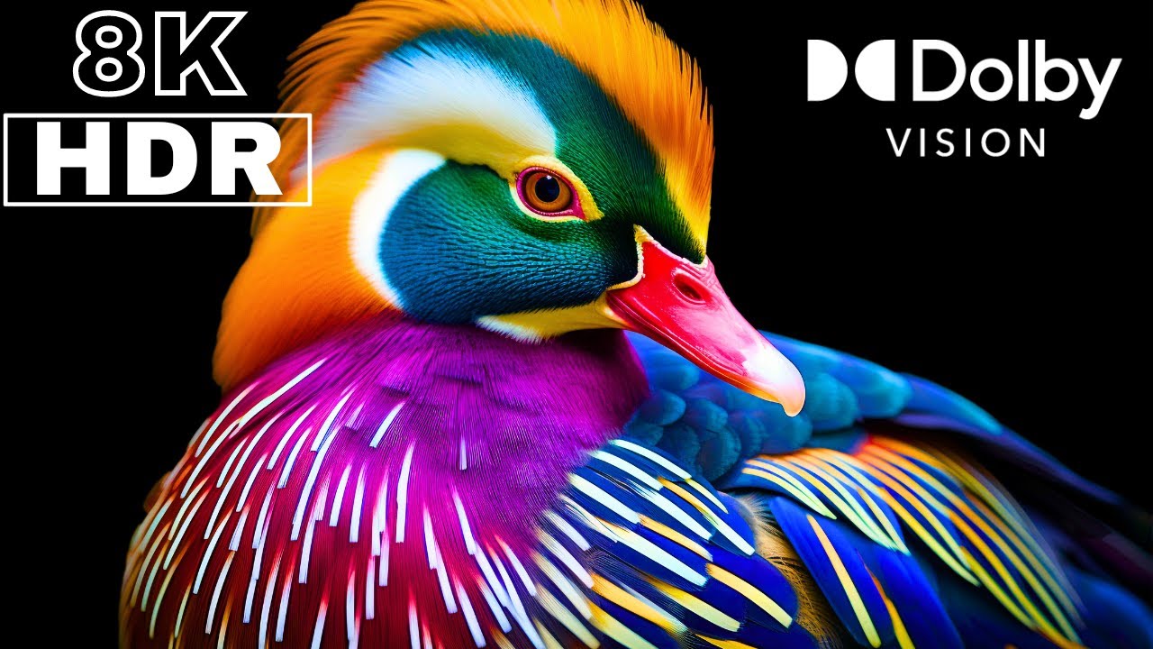 12K HDR Video ULTRA HD 60FPS - Dolby Vision Demo : VERSION 2 || 8k ...