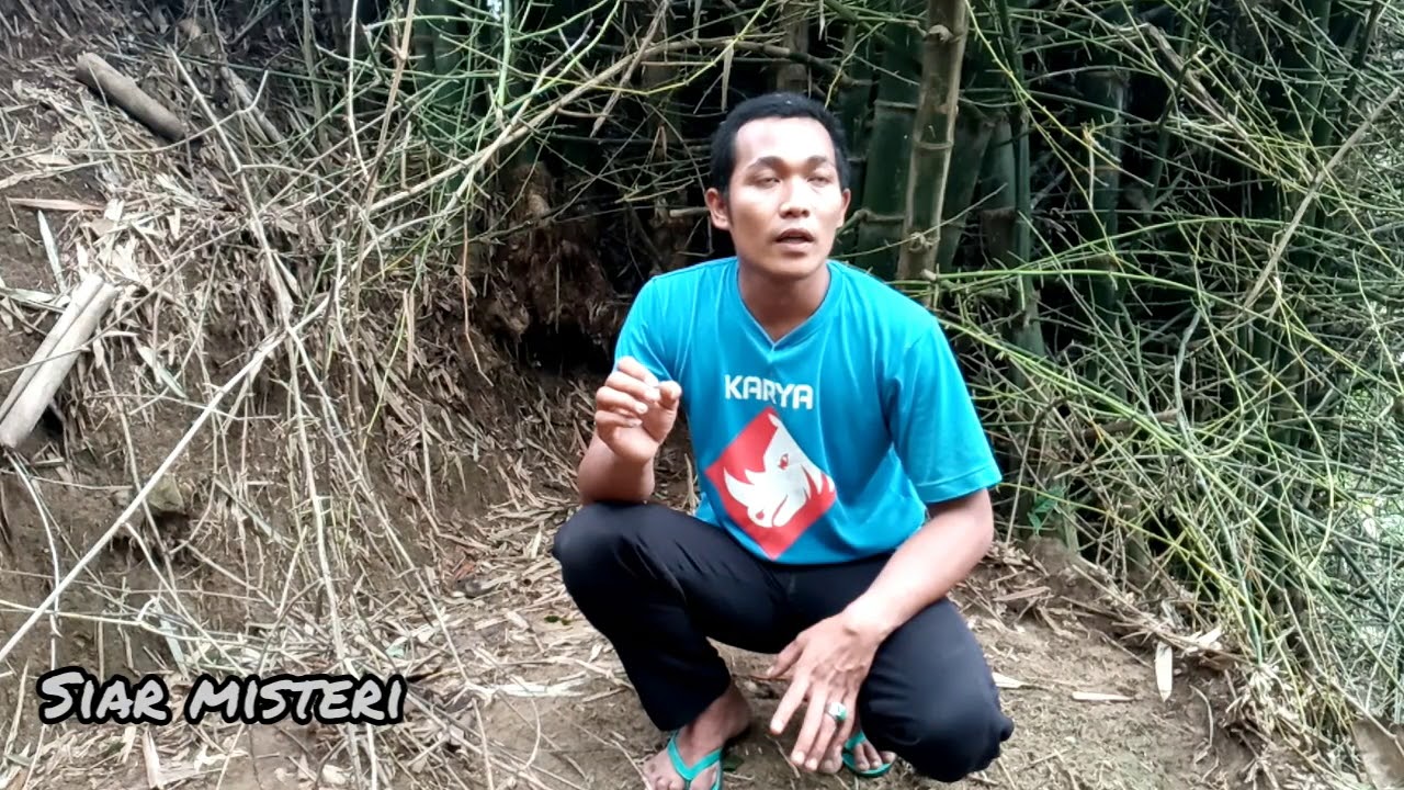 Misteri Pring ori - YouTube