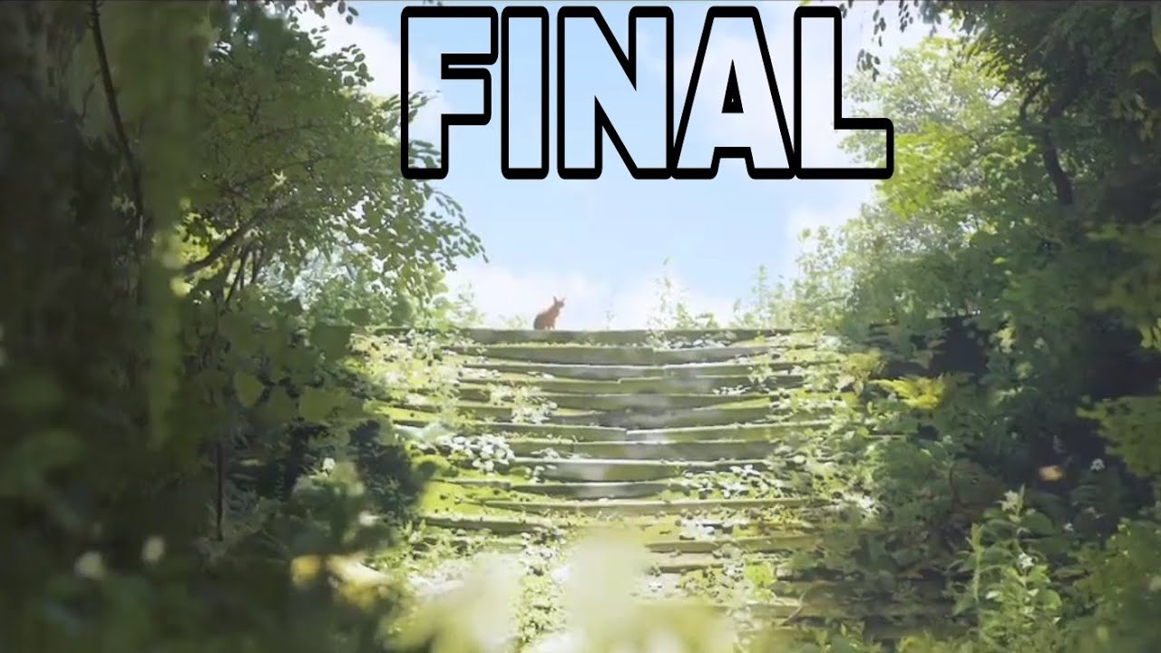 Stray FINAL - YouTube