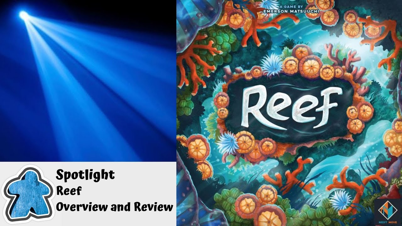 Spotlight - Reef Overview and Review - YouTube