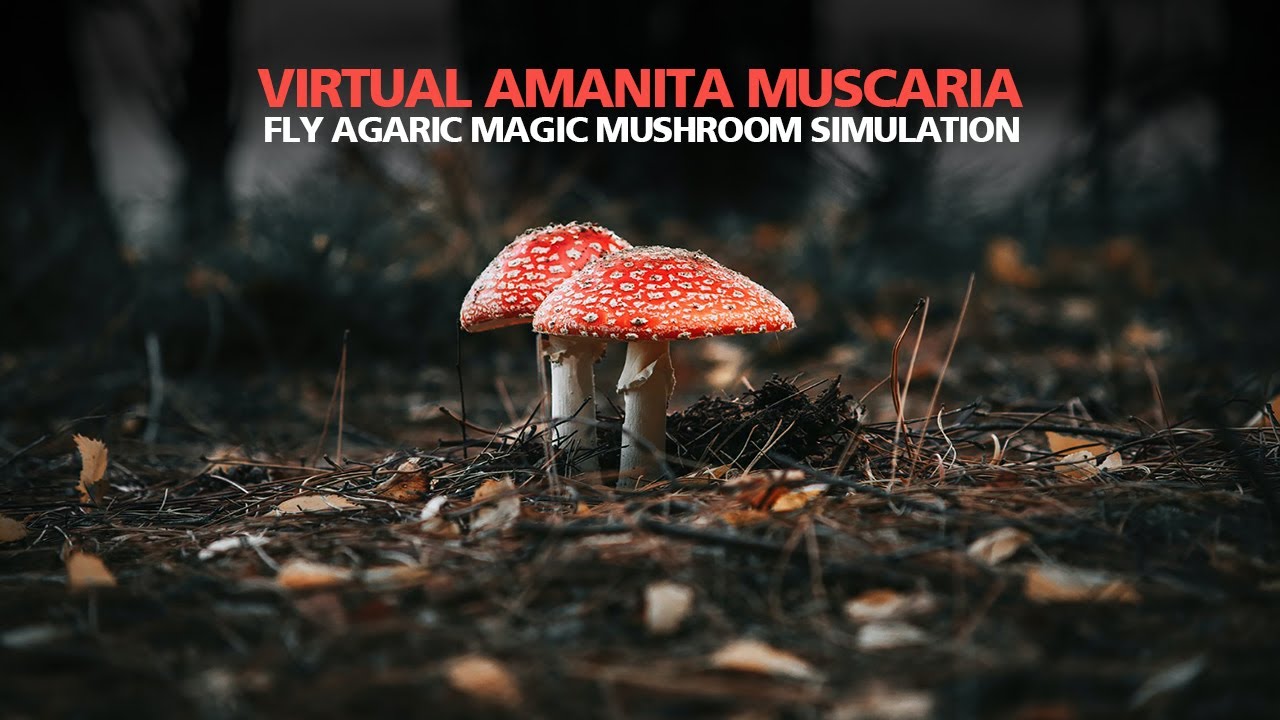 IDOSER VIRTUAL AMANITA MUSCARIA Fly Agaric Magic Mushroom Simulation ...