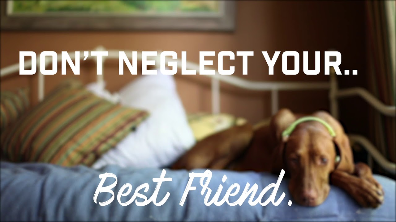 Don't Neglect Your Best Friend - YouTube