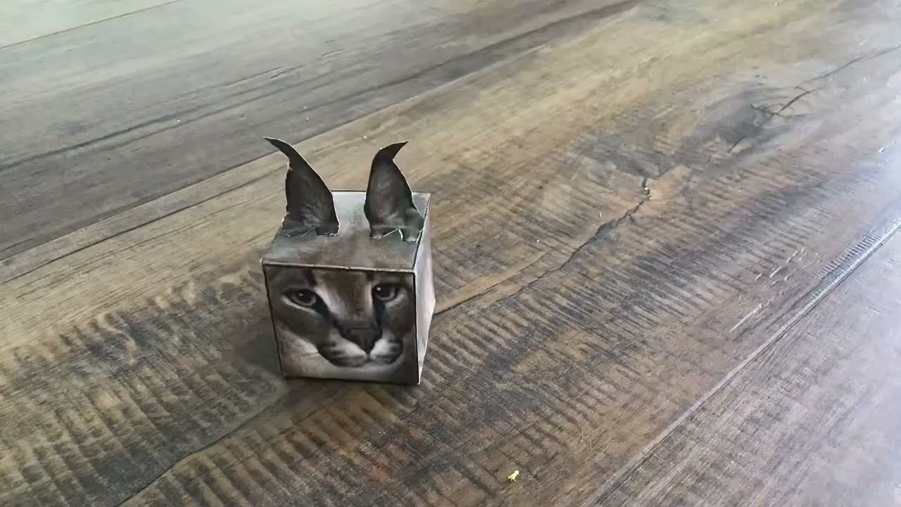 Floppa spinning - YouTube