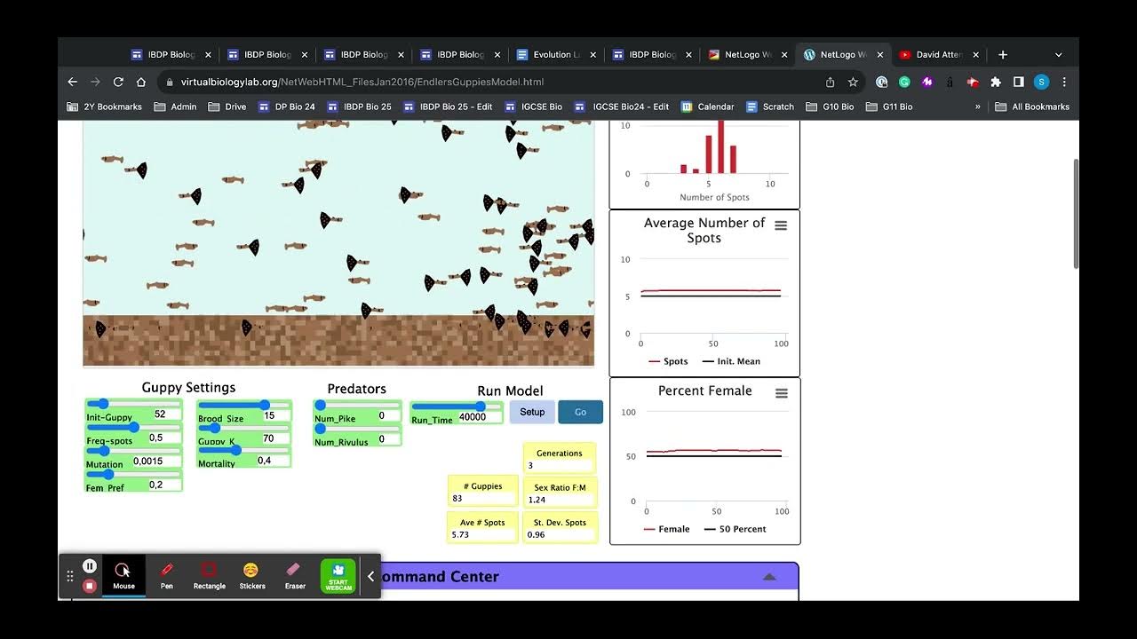 Guppy Netlogo Lab - YouTube