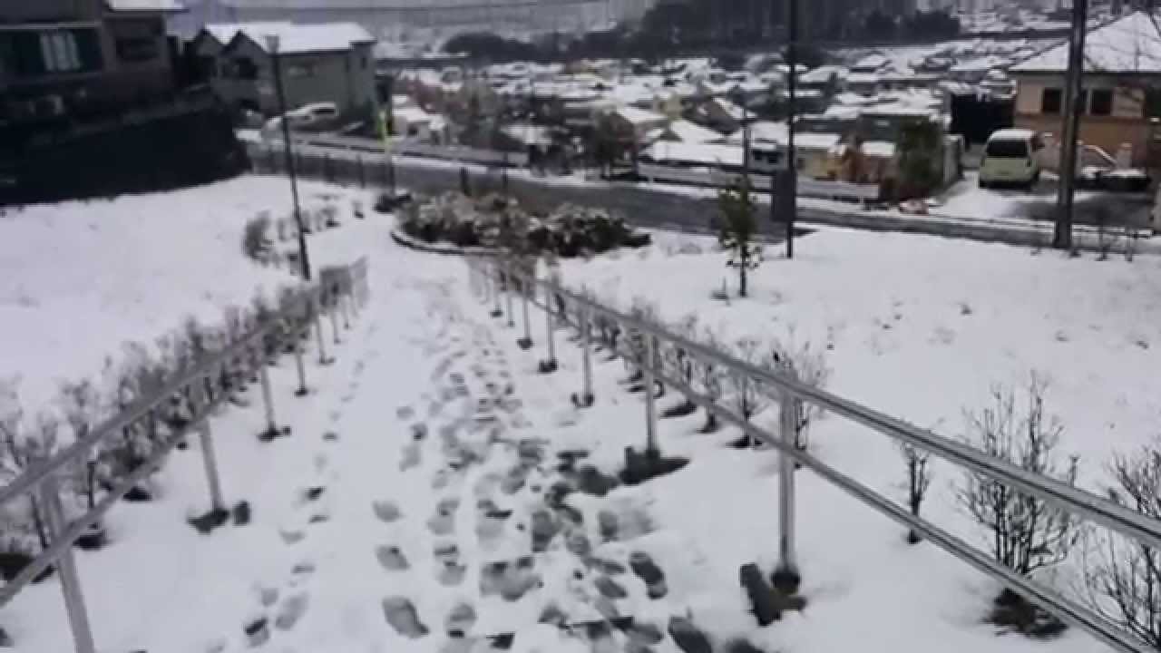First-in-Season Snow in Hachioji, Tokyo - 1.30.2015 - YouTube
