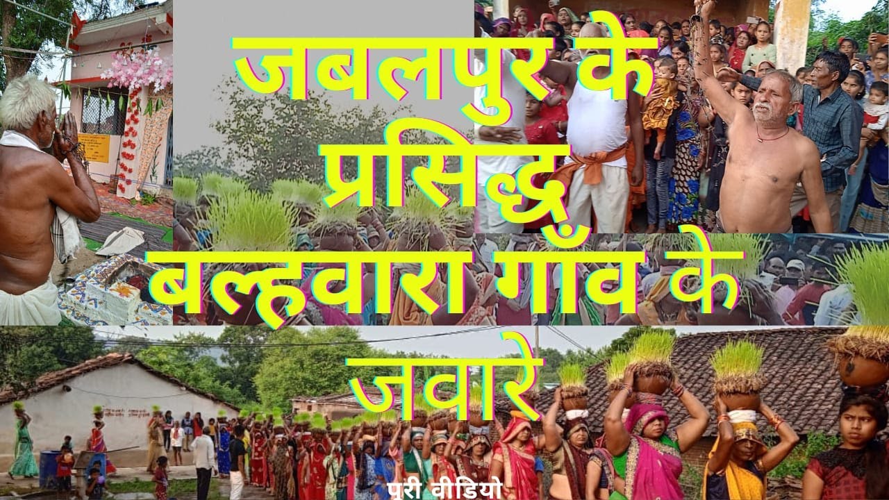 जवारे | ग्राम बल्हवारा के जवारे | Navratri jaware video | By- Hamari ...
