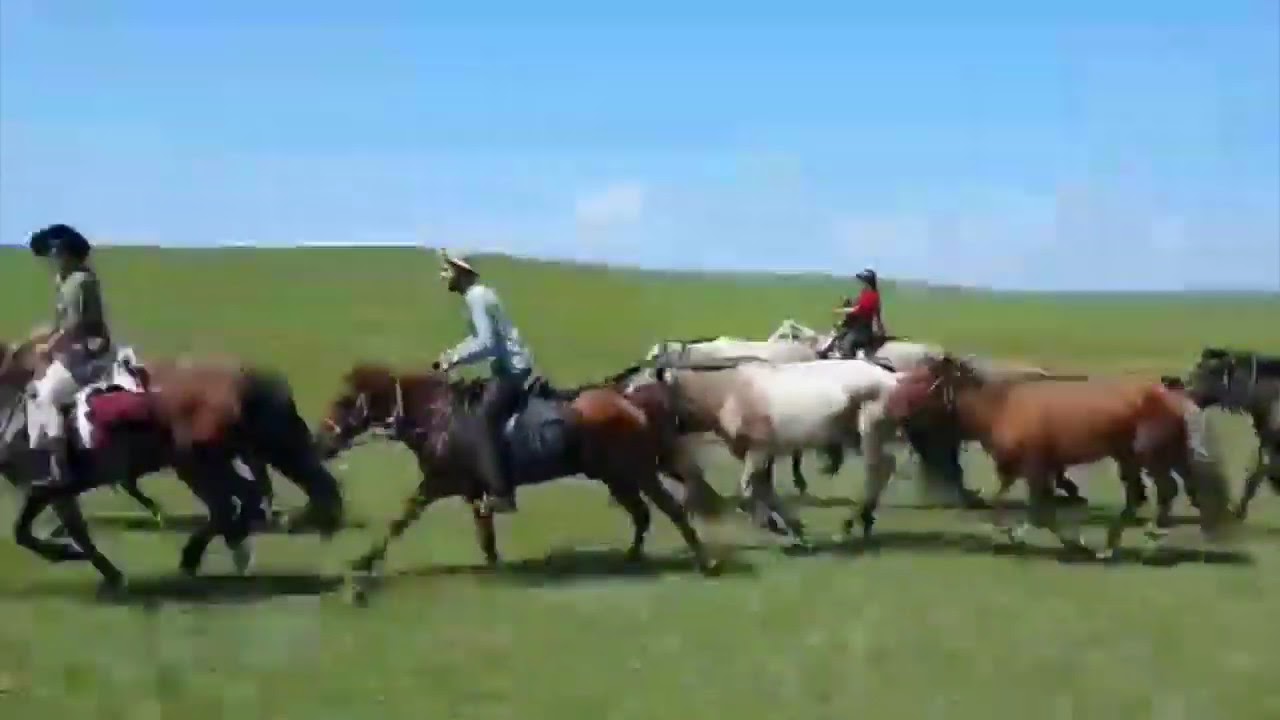 The Mongolian Hand Gallop - YouTube