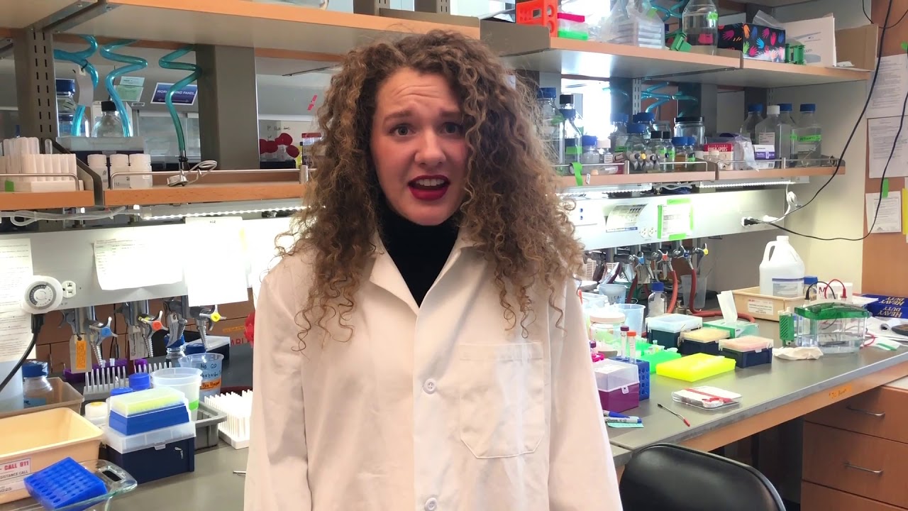 Graduate student Kristen Eller's response to the ARMOR video project ...