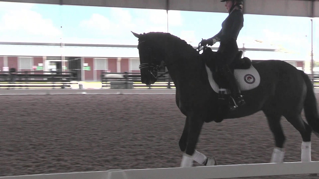 How to Activate the Hind End of Your Dressage Horse - YouTube