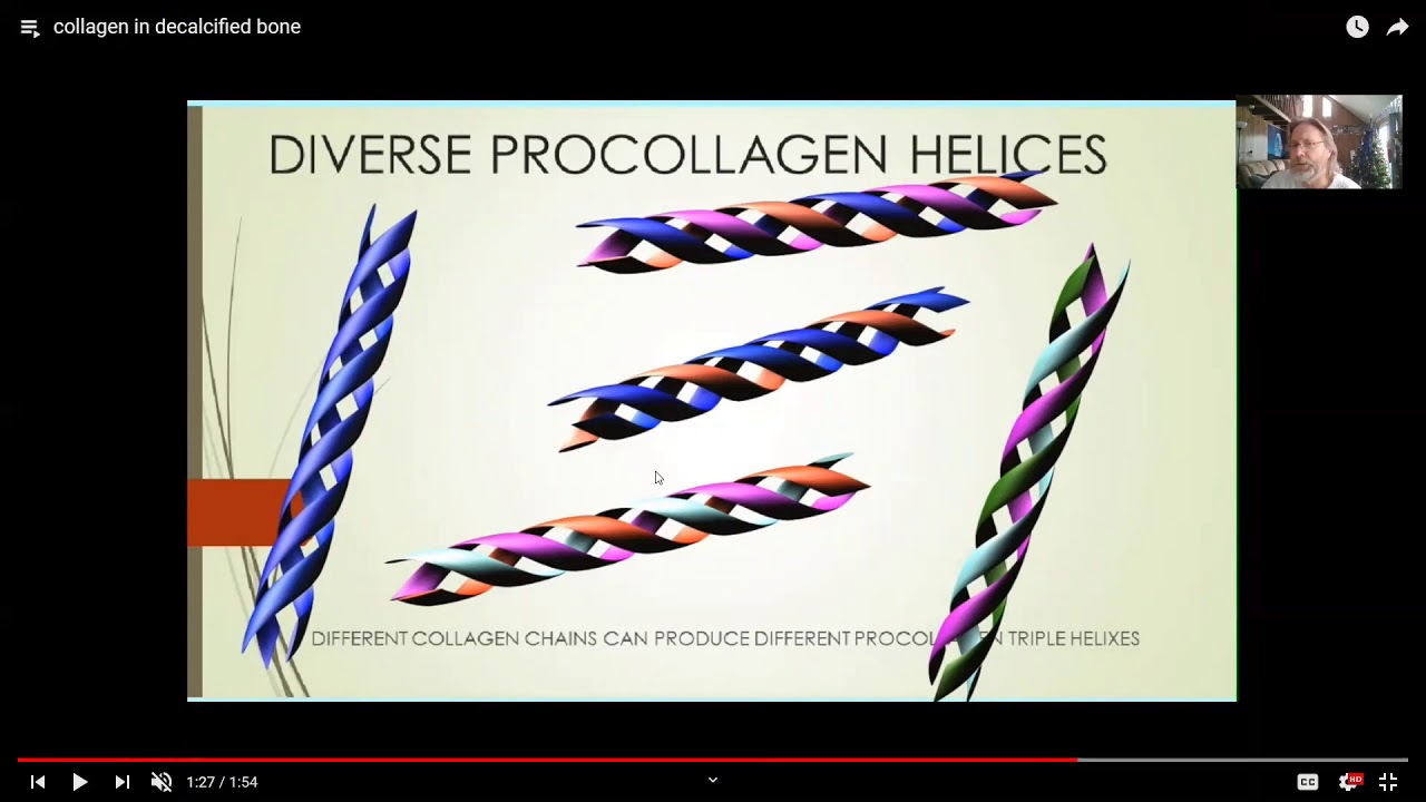 vertebrate skeletal tissues - YouTube