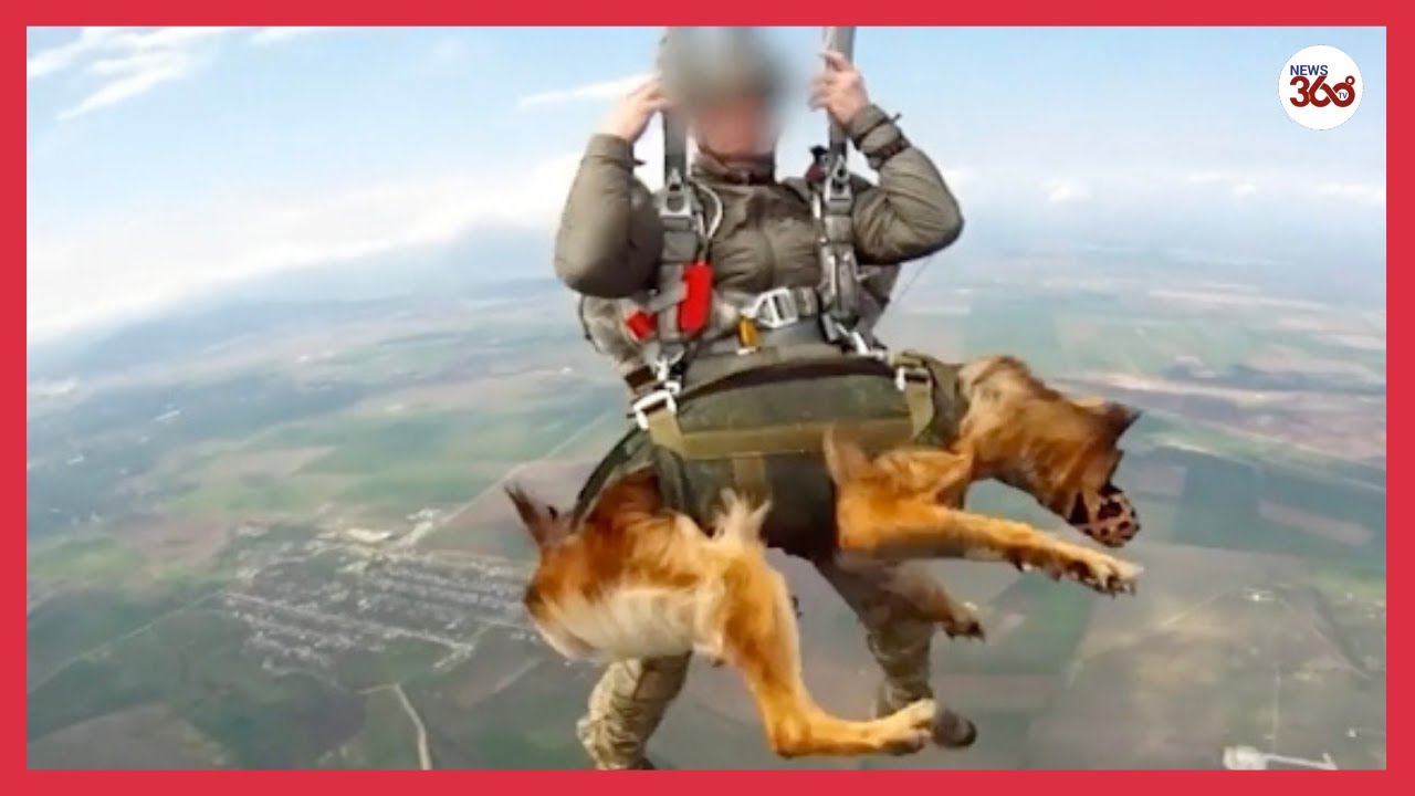 Russias paratroopers jump from planes with DOGS | Deploy parachuting ...