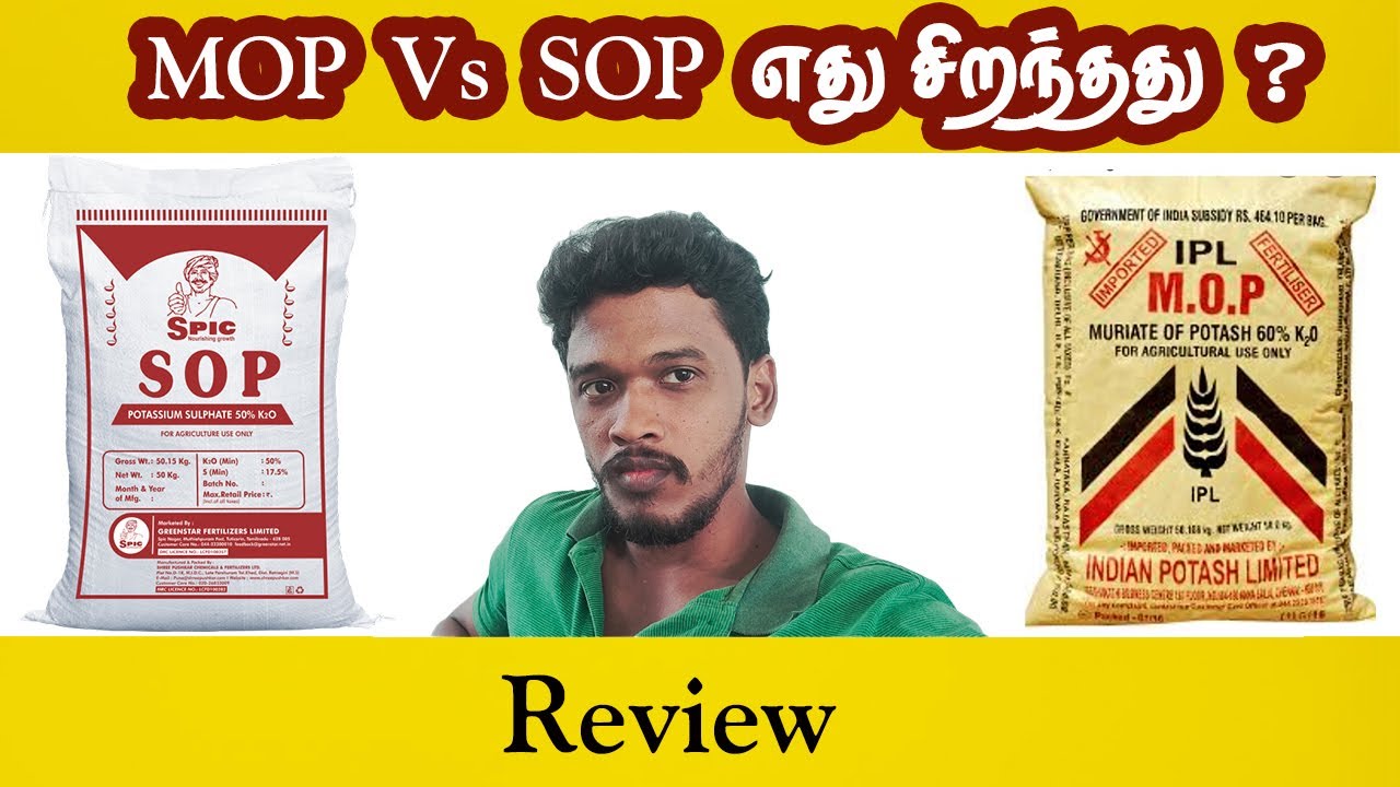 MOP vs SOP எது சிறந்தது | Potassium sulphate | Muriate of potash ...