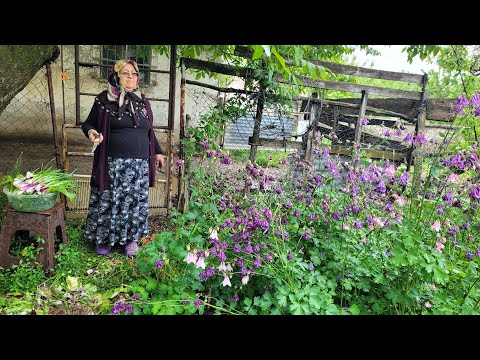KÖYDE ANNEMİN BAÇE ÇİÇEKLERİ COŞMUŞ VE ŞİFALI BİTKİLER